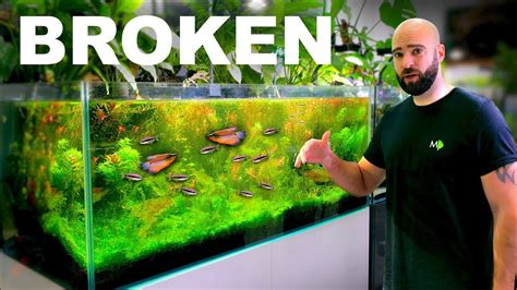 This Aquarium Broke Me Flooding Aggressive Fish Tanks Failing Youtube