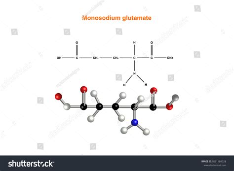 Glutamate Structure
