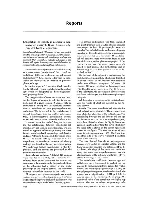 Pdf Endothelial Cell Density In Relation To Morphology
