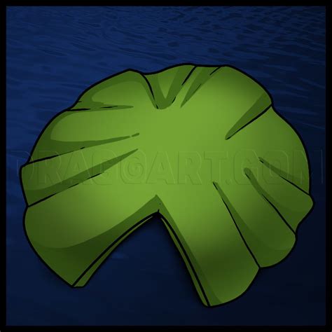 Lily Pads Drawings