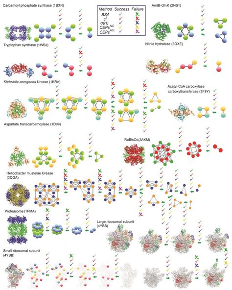 2 A Schematic Representation Of The Experimentally Derived Download Scientific Diagram