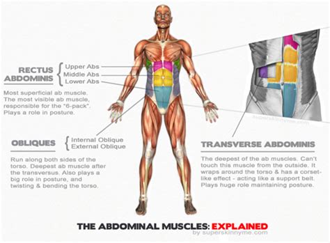 Ab Challenge Posters Hubpages