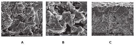 Sem Micrograph Of A4b2c4d4e2f4wedm Cut Surface Of Inconel 825 At