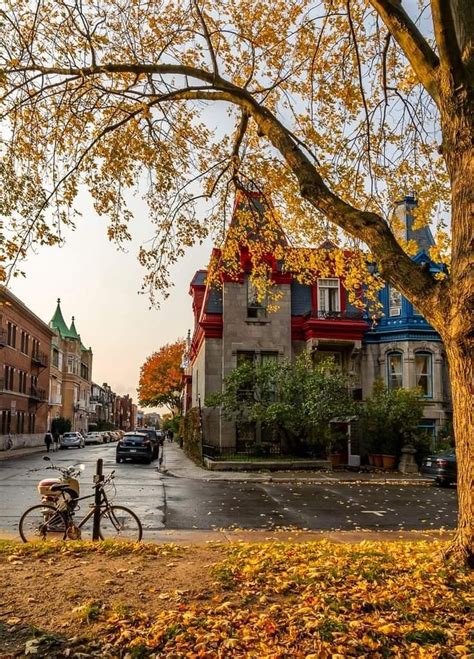 Pin By 🌸🩷 ¥𝖆𝖘𝖒𝖎𝖓 🩷🌸 On 🍁the Love Of Fall 🍁 Montreal Architecture