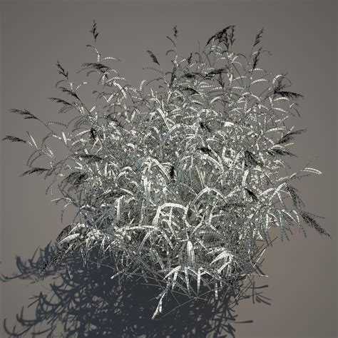 Common Reed Grass 3d Model 39 Obj Max Fbx Free3d