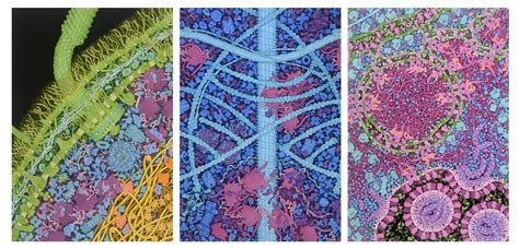 Computational Biology Is Poised To Advance Precision Medicine With Machine Learning