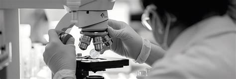 Premium Photo Lab Assistant Preparing Sample Electron Microscopy