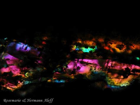 Thin Section Photos From Schorl Tourmaline Crystals By Rosemarie