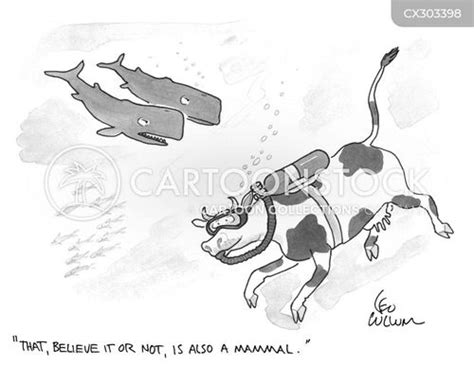 Classification Cartoons And Comics Funny Pictures From Cartoonstock