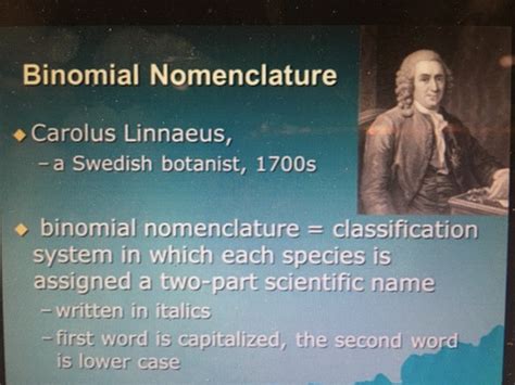 Classification Flashcards Quizlet Classification Flashcards Quizlet