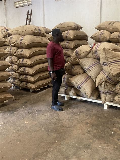 Agri Food Systems Are Bursting With Potential—not Just For Creating Jobs But Also For Providing