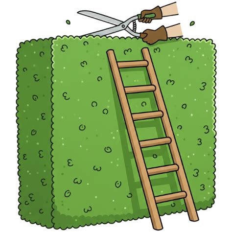 Hedge Trimming Yorkshire Garden Services