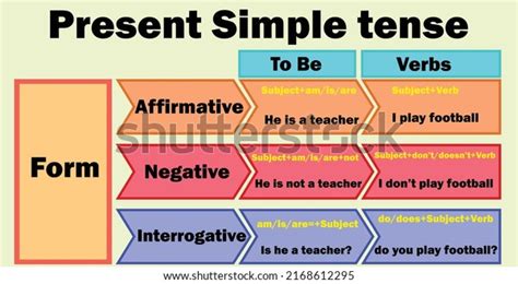 Simple Present Vector