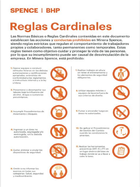 Reglas Cardinales Pdf