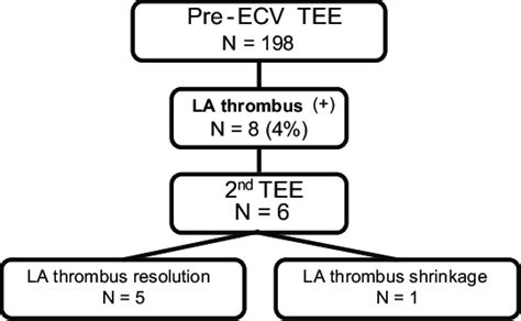 Summary Of Serial Tee Findings Ecv Electrical Cardioversion Tee