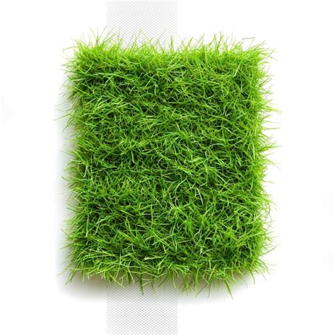 Page 8 Top Down Grass Psd High Quality Free Psd Templates For