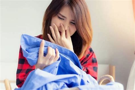 Tres Maneras De Hacer Un Deshumedecedor O Deshumidificador Casero Infobae