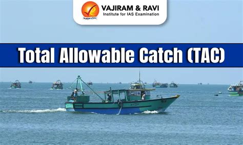 Total Allowable Catch Tac Meaning Importance Latest News