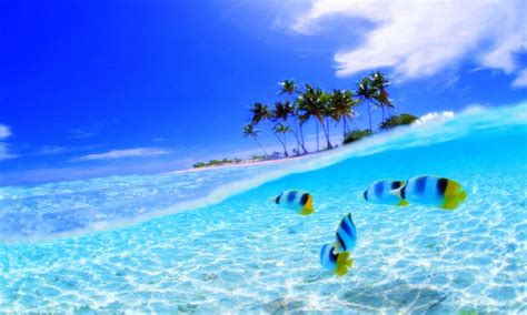 Crystal Blue Ocean Hd