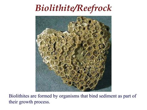 Classification Of Carbonates Ppt