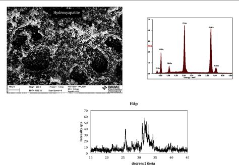 Figure 2 From Why Biphasic Assessment Of The Effect On Cell