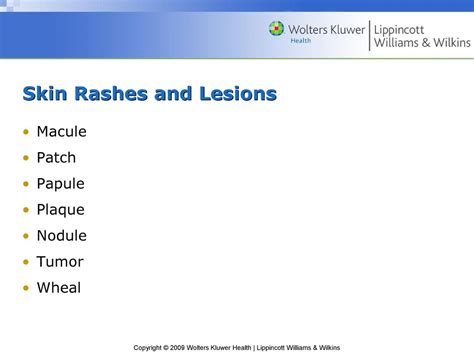 Chapter 60 Structure And Function Of The Skin Ppt Download