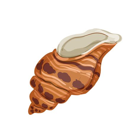 Conch Sea Shell Cartoon Vector Illustration 17407902 Vector Art At Vecteezy