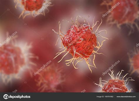 Antigen Presenting Cells Microscope