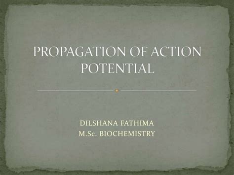 Propagation Of Action Potential Pptx