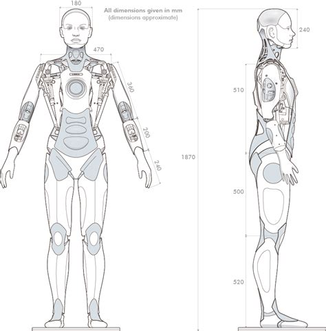 Engineered Arts Embodied Ai Social Humanoid Robots