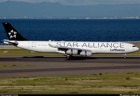 D Aign Lufthansa Airbus A340 313 Photo By Kinmei Id 532825