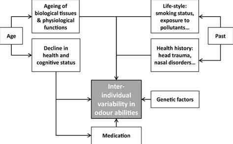 Review Of The Factors Liable To Account For The Large Inter Individual