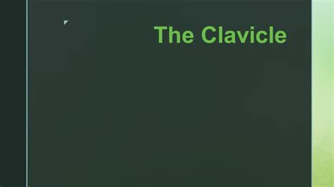 Anatomy Of The Clavicle Structure Articulations And Muscle Attachments