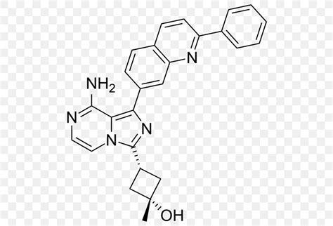Linsitinib Drug Insulin Like Growth Factor 1 Receptor Insulin Receptor