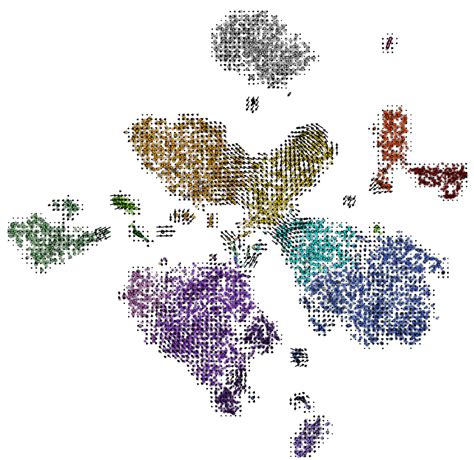GitHub YutingPKU PaperWork ScRNA GSE MouseSVZ Reanalyze Of GSE ScRNA Seq Data