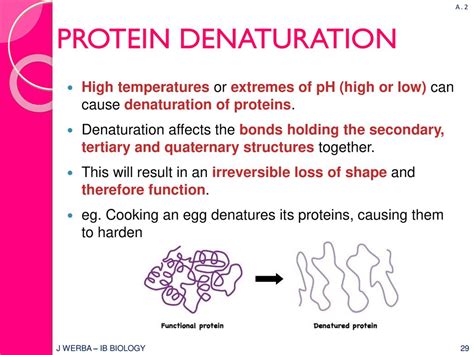 Proteins Have A Very Wide Range Of Functions In Living Organisms Ppt