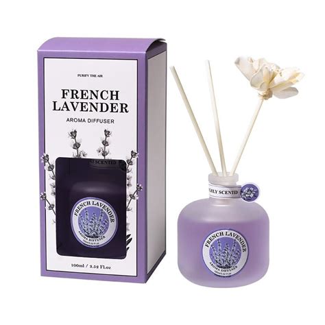 Chubby Bottle Reed Diffuser Elegant Modern Home Scent