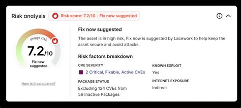 Revolutionizing Security Custom Risk Scoring Reduces Vulnerability