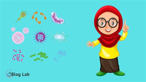 Microorganisms Understanding Type And Service In Life