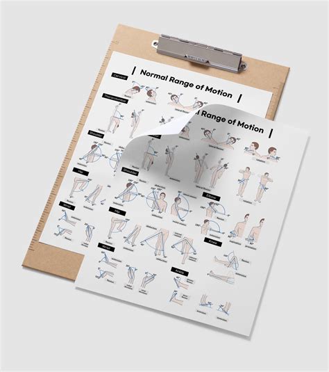 Range Of Motion Chart Printable Rom Reference Poster A4  Etsy