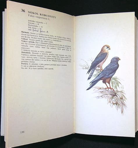 Vilček Berger Atlas Vtákov