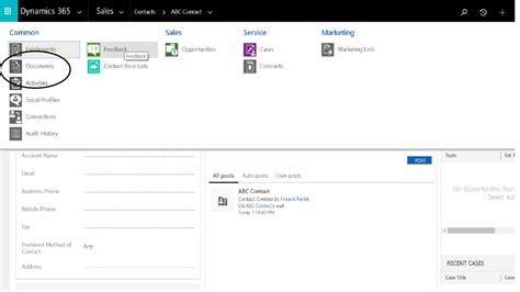 Cannot See Document Associated Grid Or Document Area For Record In Ms
