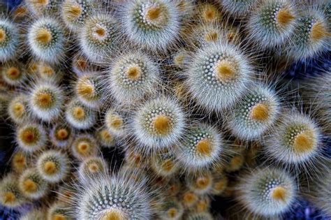 Pain During Sex Topic On An Parties I Hear Stories Of Pain From Sex