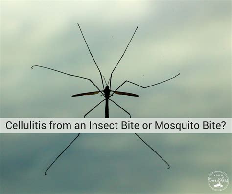 Cellulitis From A Bug Bite Or Mosquito Bite Heres What To Look For