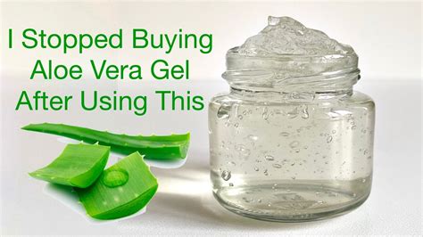 How To Preserve Aloe Vera Gel Without Freezing At Carmen Wong Blog