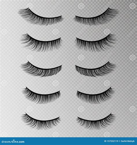 Eye Lashes Vector Icon Stock Vector Illustration Of Eyelashes 157552119