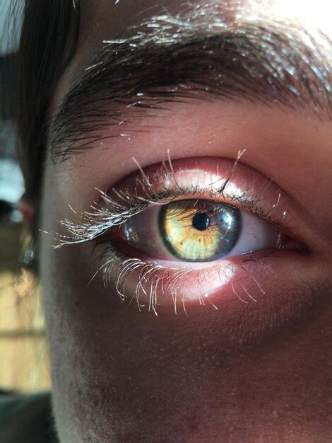 Premium Photo Sensory Perception