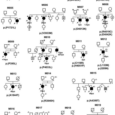 Pdf Rare Rnf213 Variants In The C Terminal Region Encompassing The Ring Finger Domain Are