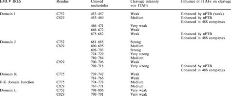 Feii Babe Eif4g Cleavage Sites In The Emcv Ires Download Table