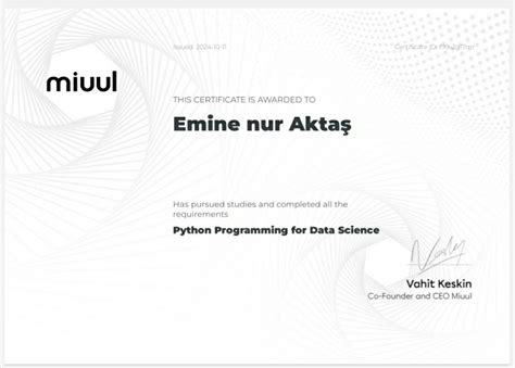 Miuul Makine Öğrenmesi Bootcampinde Python Programing For Data